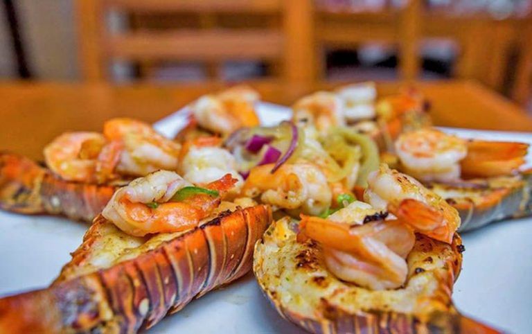 Granada : Conoce dónde comer los mejores mariscos 【 Aquí